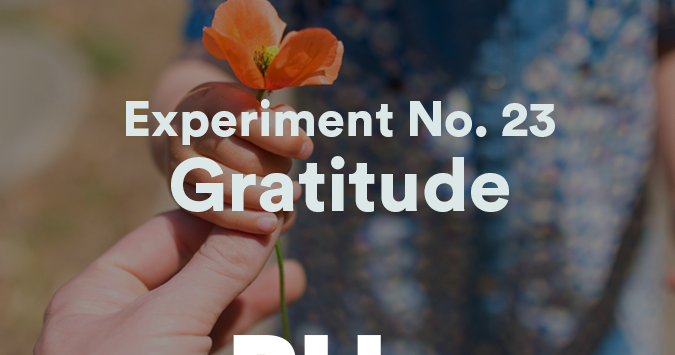 Experiment No. 23: Gratitude