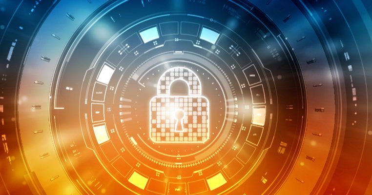 Where Privacy Meets Security