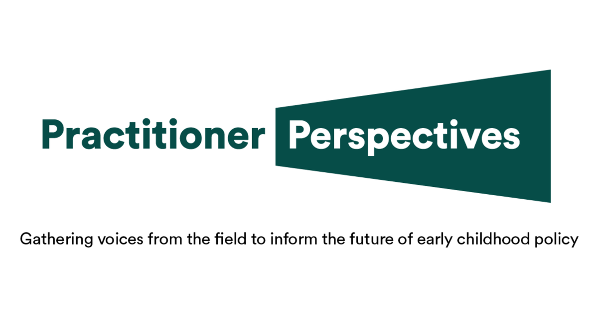 2023 Practitioner Perspectives