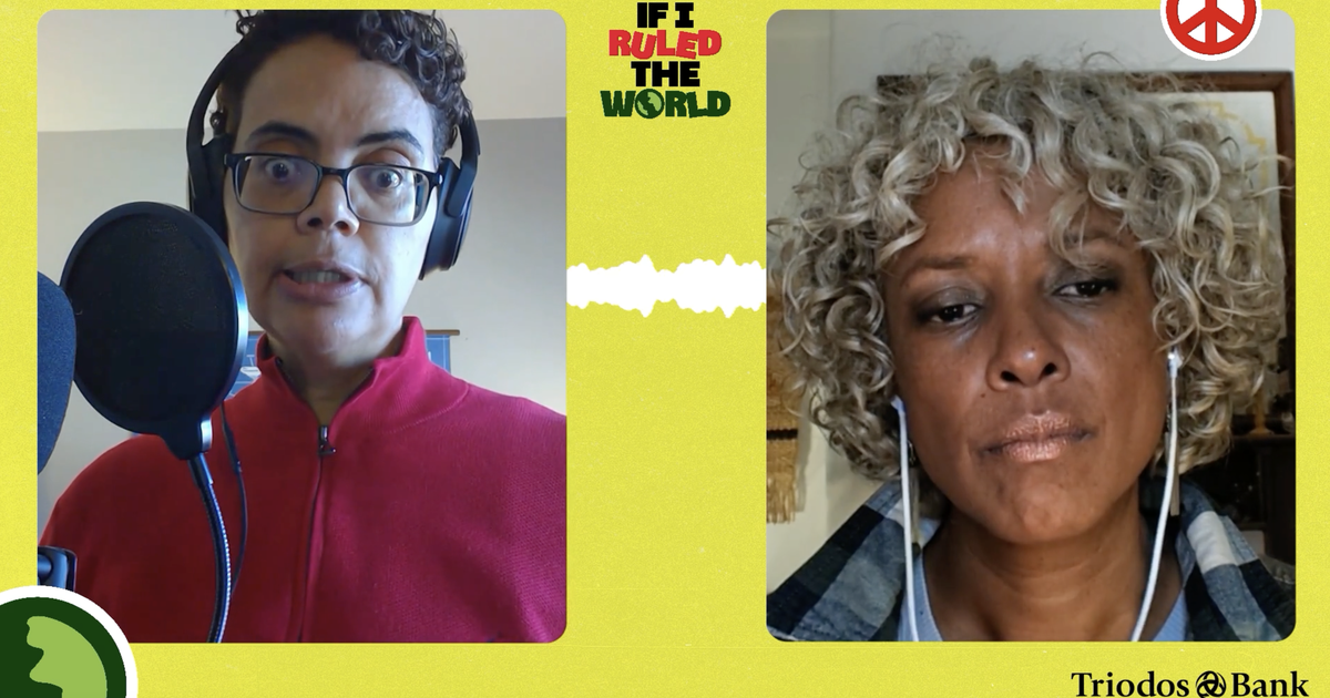 Wicked Problems: Candace Rondeaux on the Digital Revolution