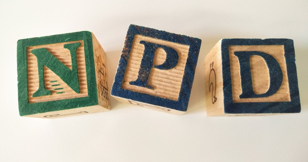 Lessons Learned from Five Years of English Learner National ...