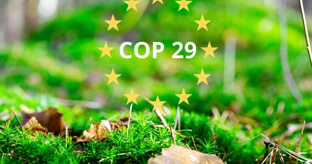 On the Road to COP29 & Beyond