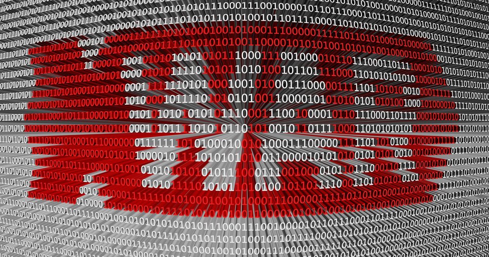 A Brief Guide to the Weapons of Cyberconflict