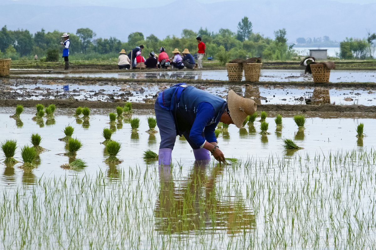 China Natural Resources Evaluation Of Comprehensive Use Benefits And